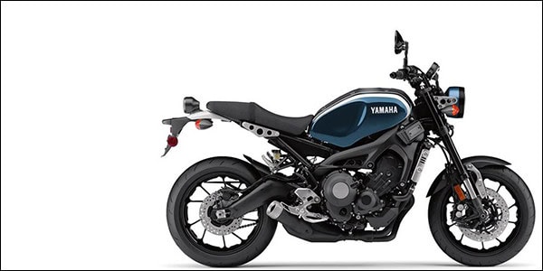 Category: Screen Protectors - YAMAHA - Speedo Angels